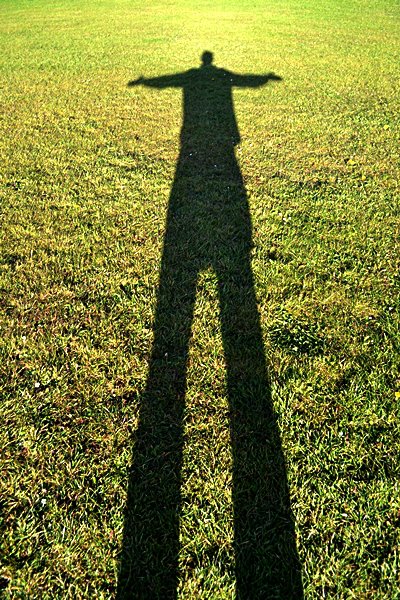 shadow_selfie – Wallflowers